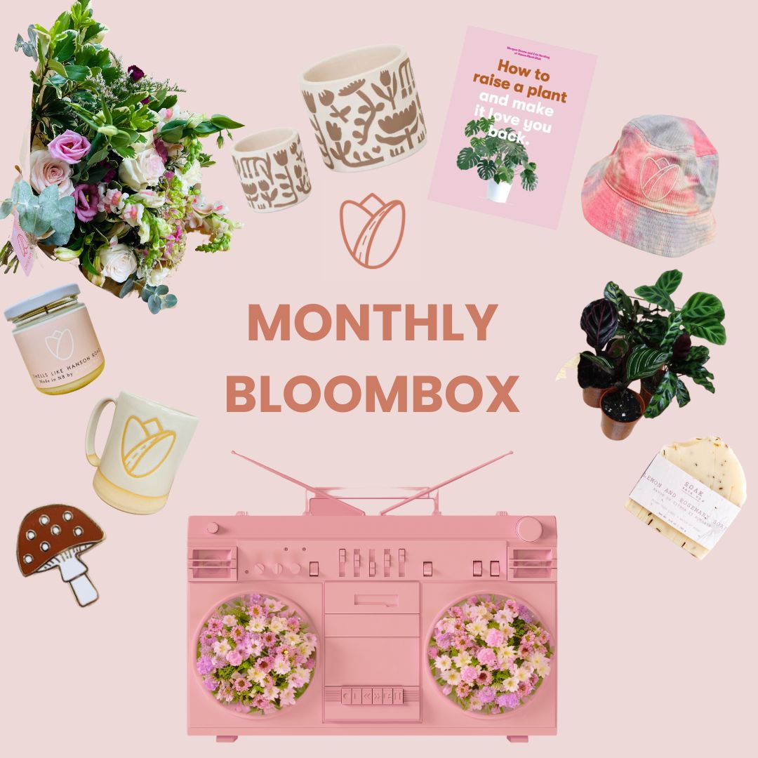 Monthly Bloombox Subscription – hanson road